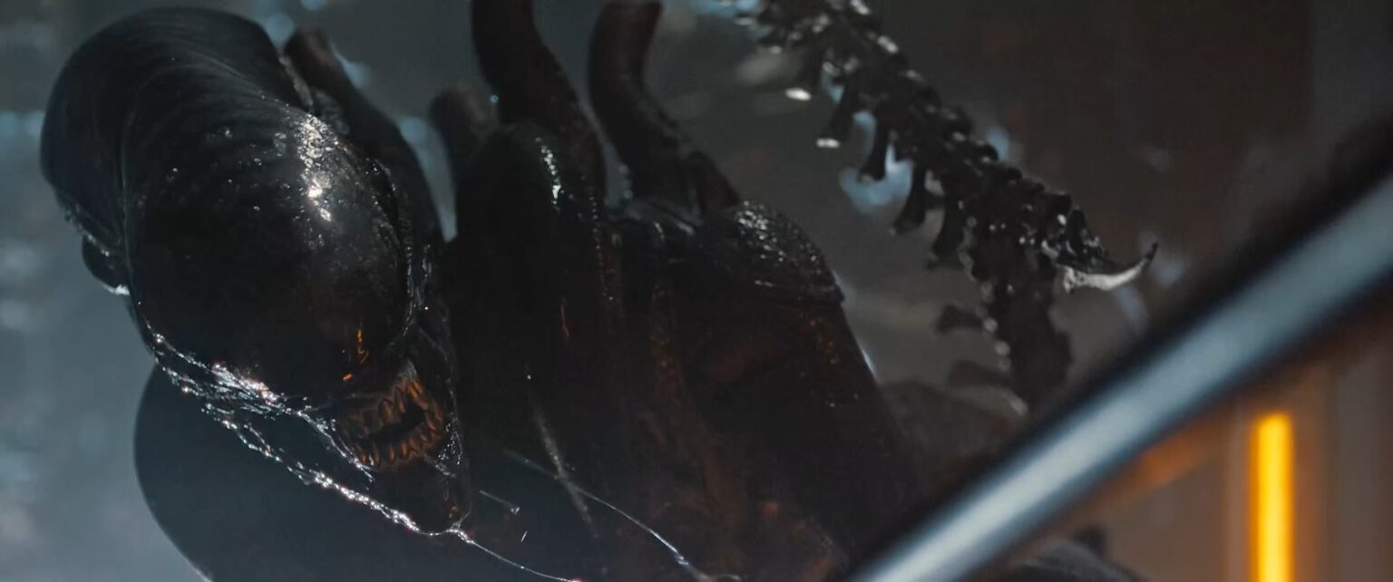 ‘Alien’ Timeline Explained: Is FX's 'Alien: Earth' a Prequel to the ...