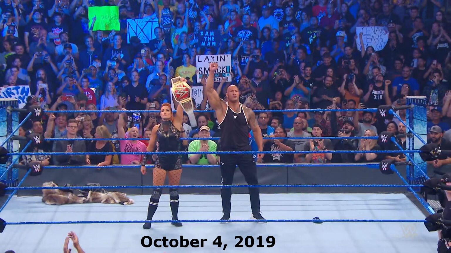 Who Is WWE’s Green Shirt Guy and How He Can Afford Front Row Seats at ...