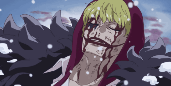 The Slowest ‘One Piece’ Arc Is the Biggest Reason Why WIT Studios ...