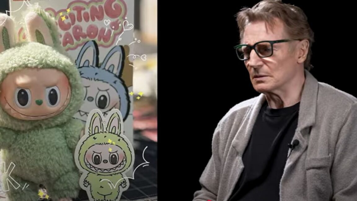 What is a Labubu, That Made Its Owner a Billionaire: Liam Neeson's ...