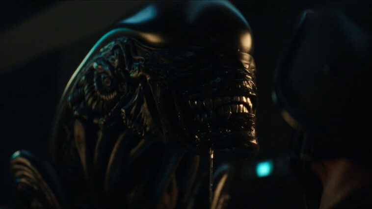 Who Is Cameron Brown? The Actor Behind Xenomorph in ‘Alien: Earth’