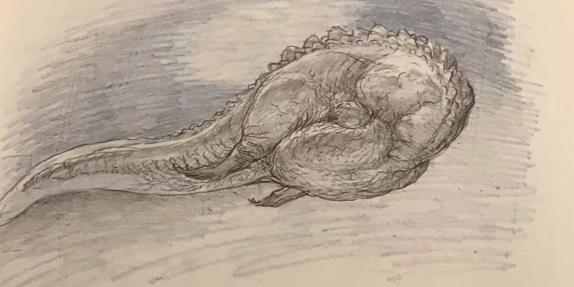 Every Godzilla Form in Shin Godzilla, Explained