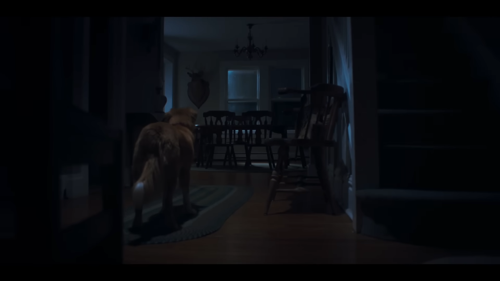 Good Boy Director Explains How He Made His Dog Act in 2025’s Most ...