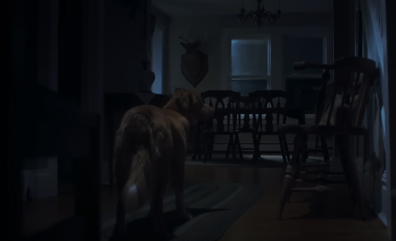 Good Boy Final Trailer: Man’s Best Friend in Horror Movie of The Year ...