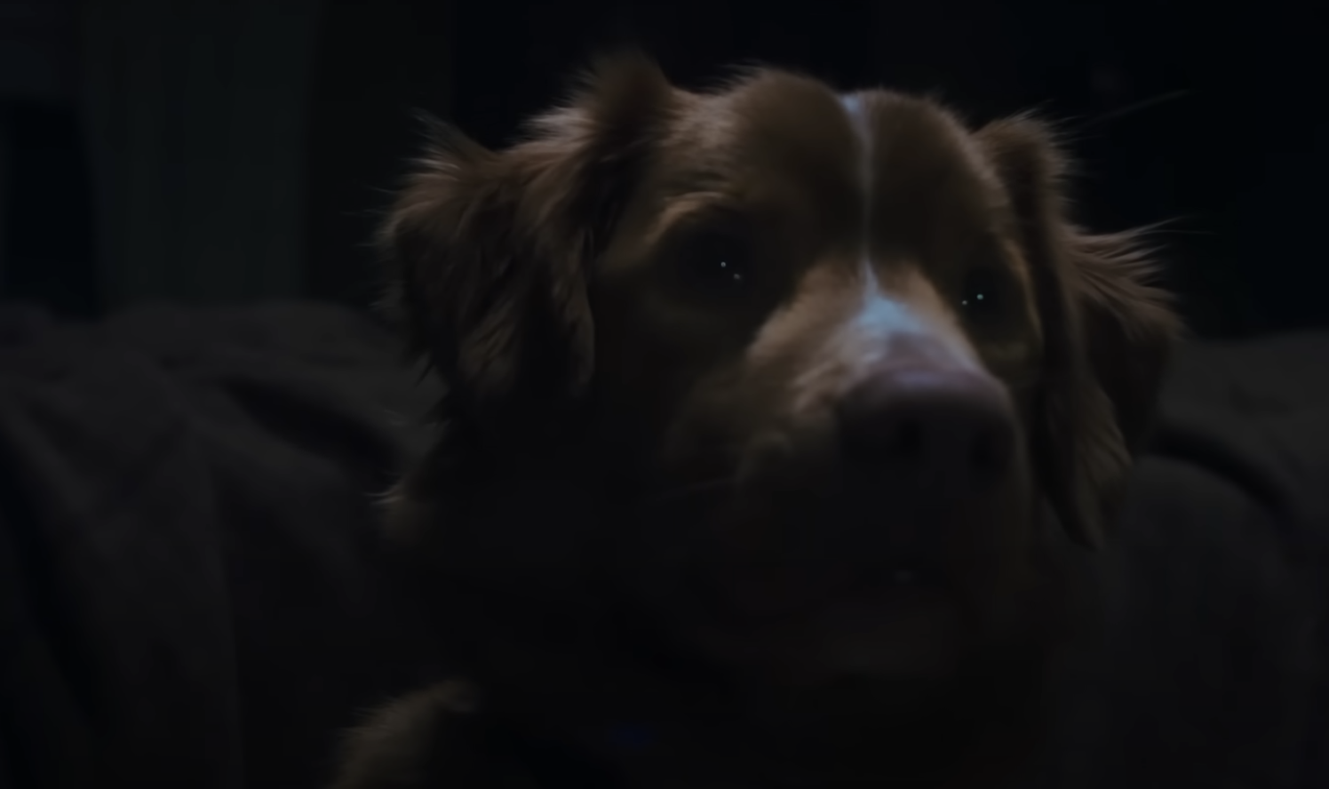 Good Boy Filmmaker Reacts To Keanu Reeves’ Film While His Trailer ...