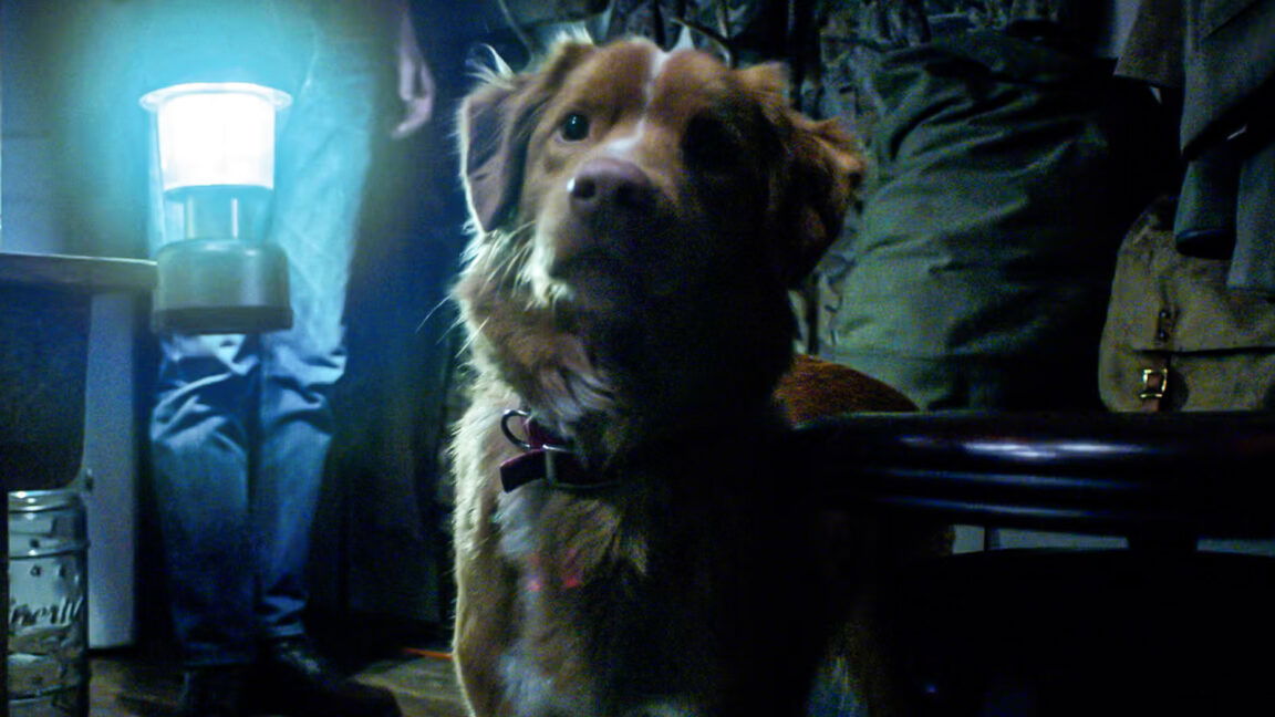 Good Boy Director Was Influenced by Tom Cruise for Its Big Reveal: Does ...