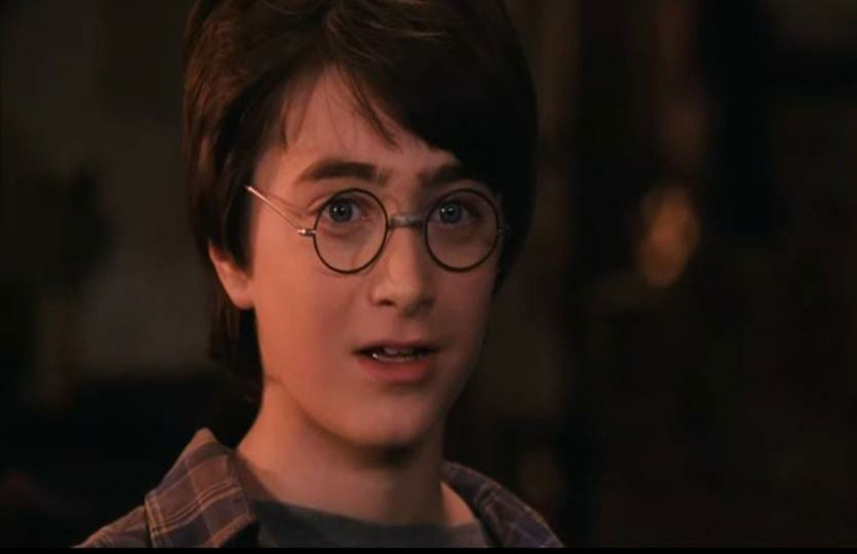 Harry Potter Characters and All of Their Pets