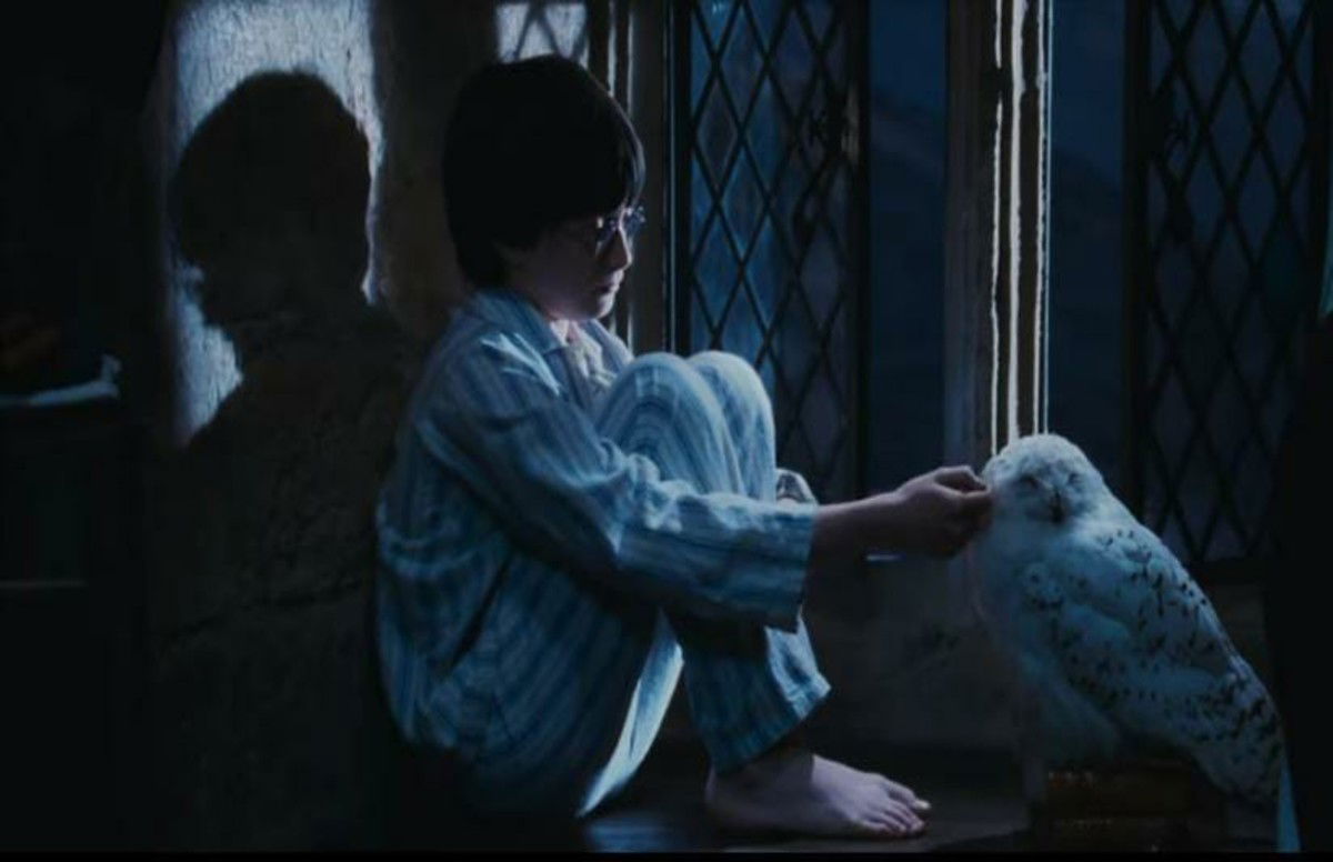 Harry Potter Characters and All of Their Pets