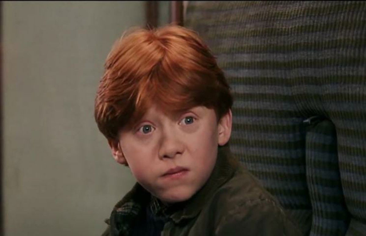 Harry Potter Characters and All of Their Pets