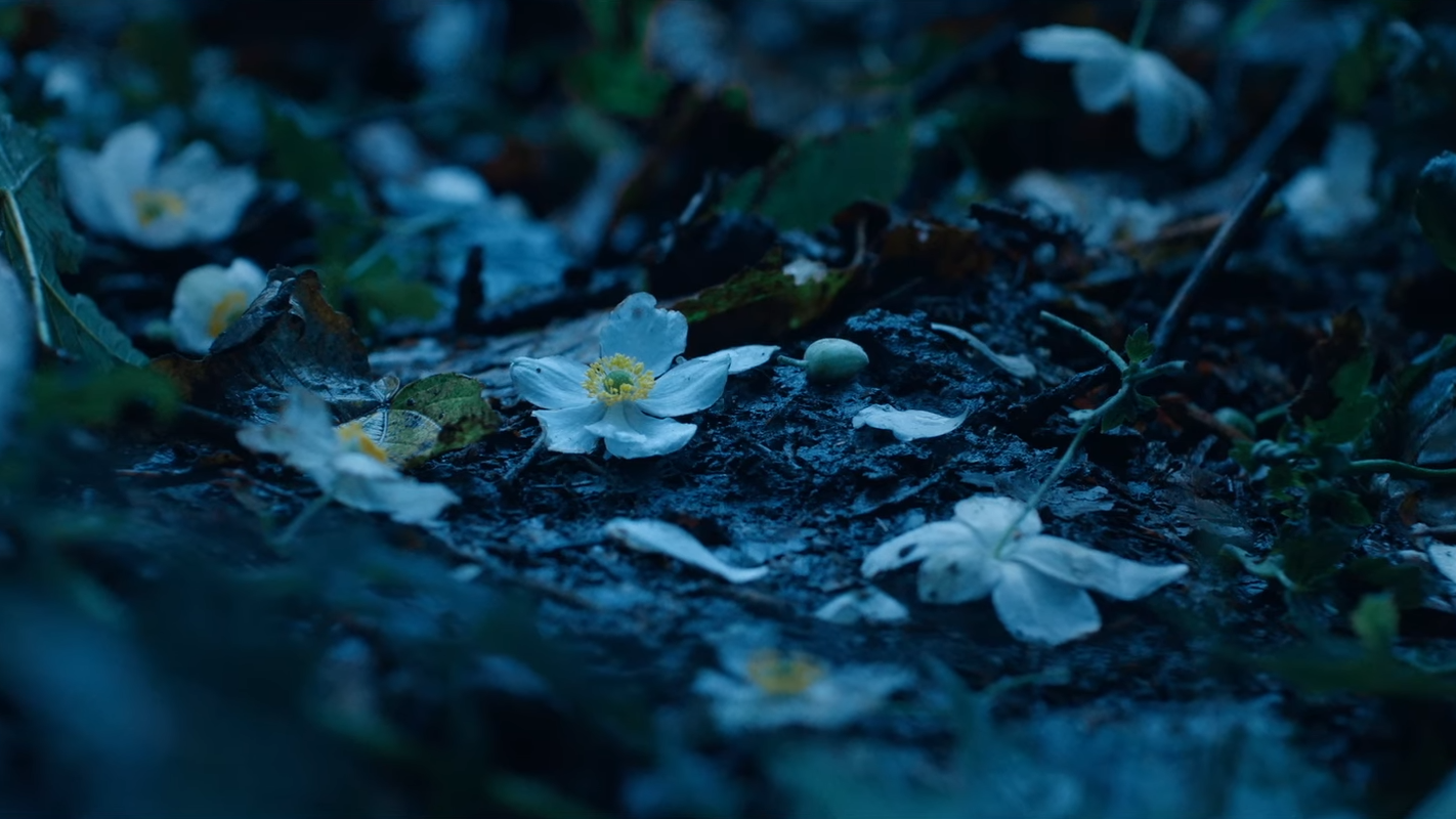 Daniel Day-Lewis’ Anemone Trailer Fuels ‘Sean Bean Isn’t Real’ Theory