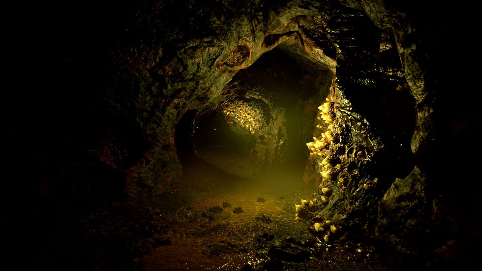 Enter the Gloom and Wipe Out Terminids in Helldivers 2’s Into the ...