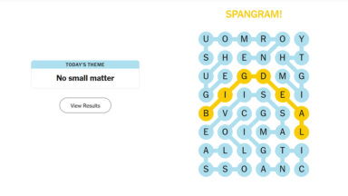 NYT Strands Hints and Solution for Today (August 30, 2025)