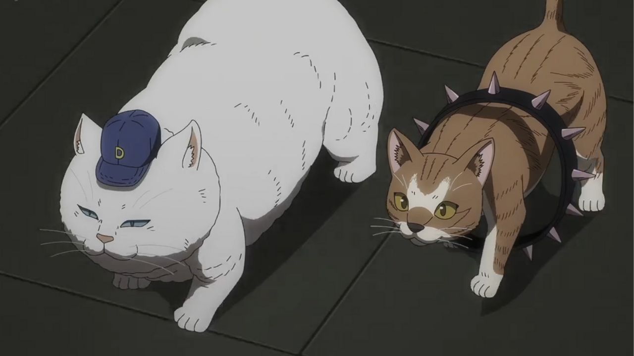 Nyaight of the Living Cat Season 2 Renewal Status & Where to Stream