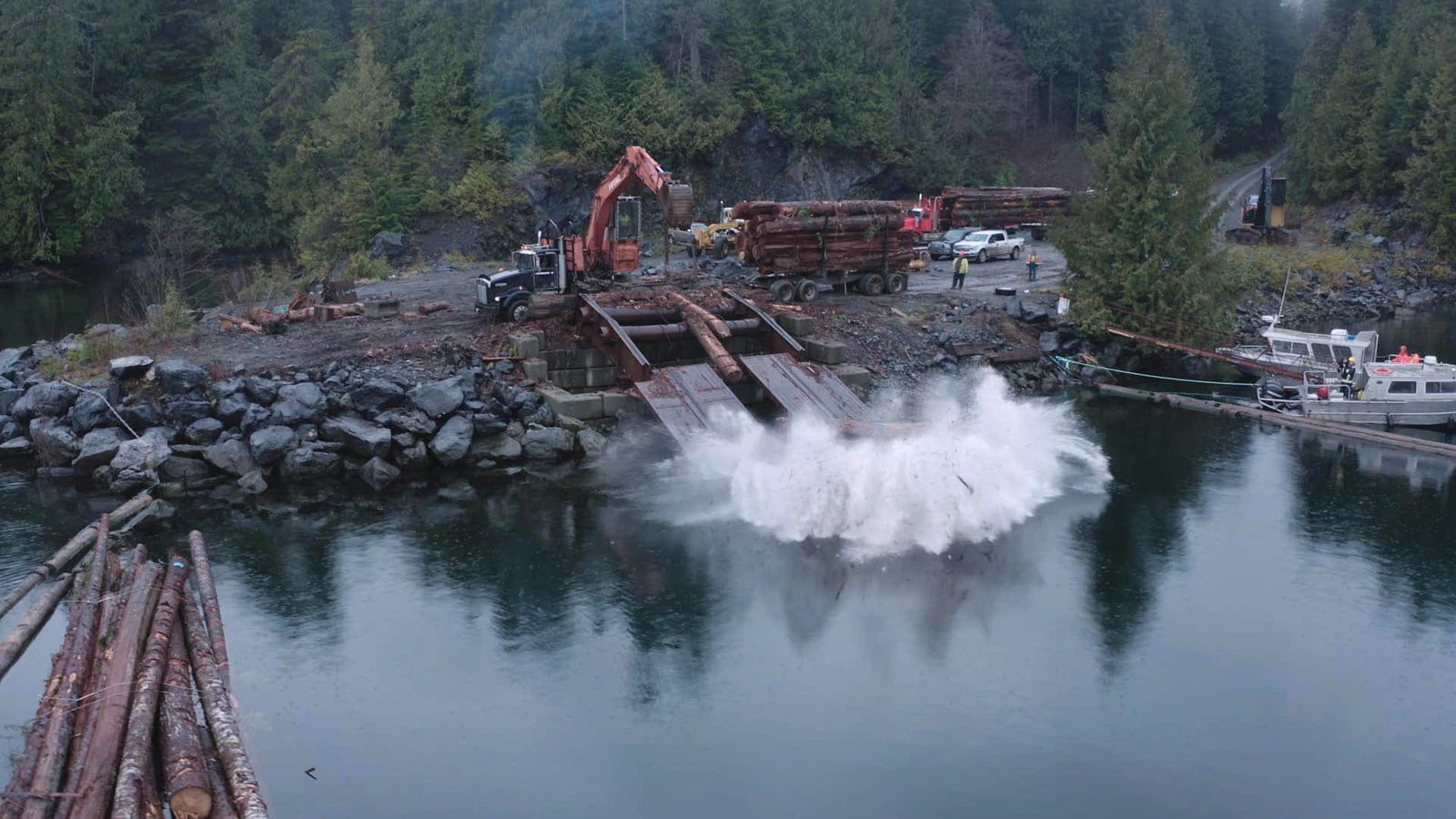 Timber Titans Season 2 Release Schedule Explained: Date, Time & Platforms