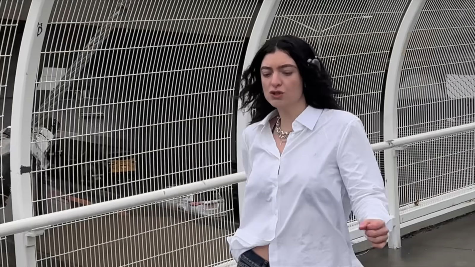 Lorde Singer Real Name and All You Need to Know