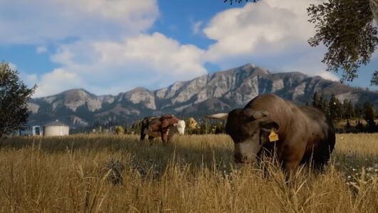 Every Ubisoft Game Expected to Release in 2026 and 2027