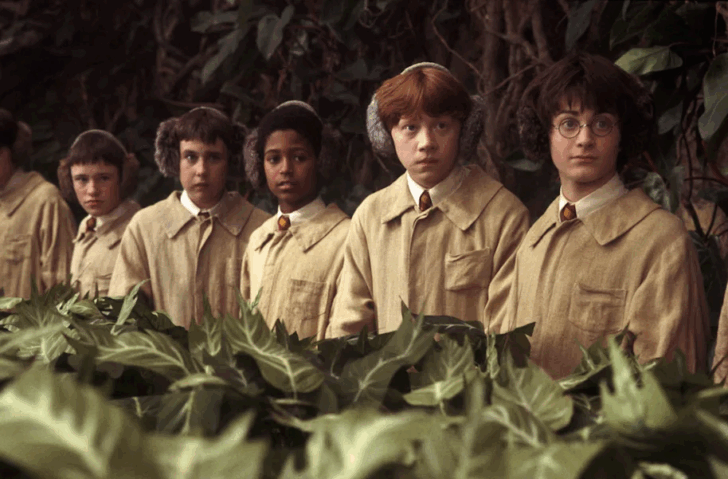 Every Magical Hogwarts Subject in Harry Potter, Ranked Worst to Best