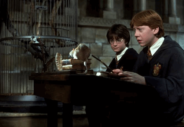 Every Magical Hogwarts Subject in Harry Potter, Ranked Worst to Best