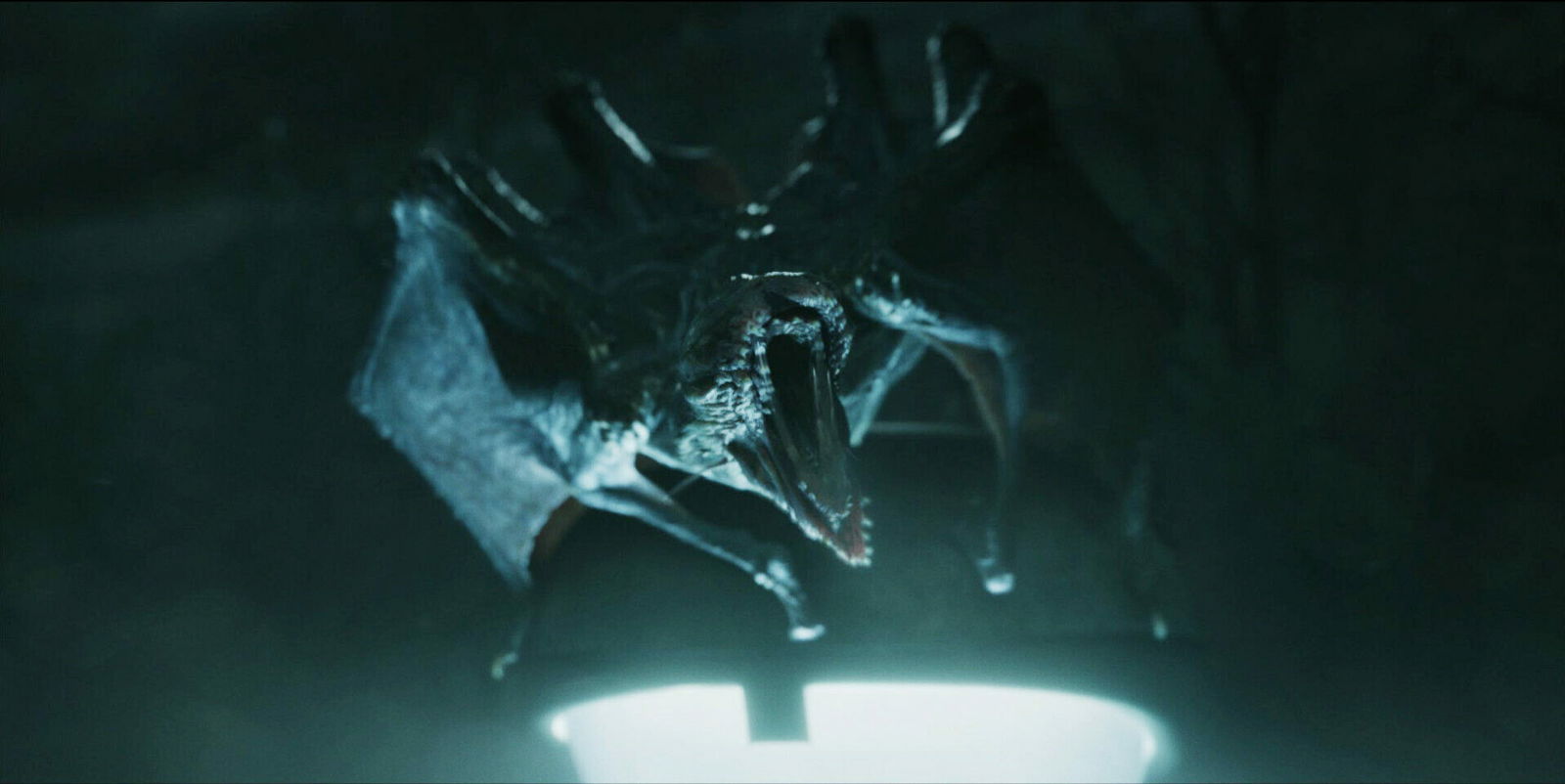 Stranger Things Creatures Ranked From Useless to Actually Scary