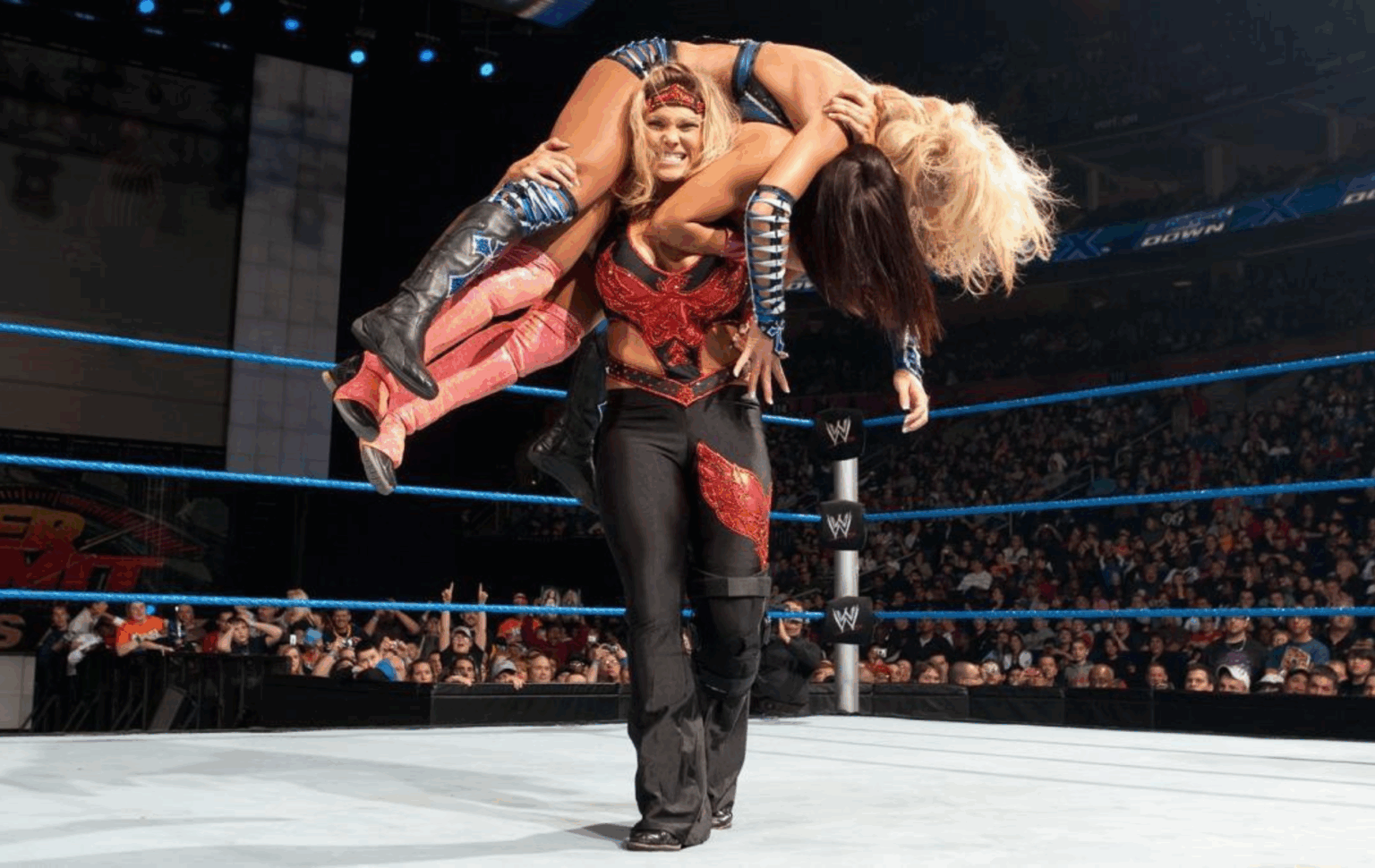 6 WWE Female Stars CM Punk Has Dated in Real Life