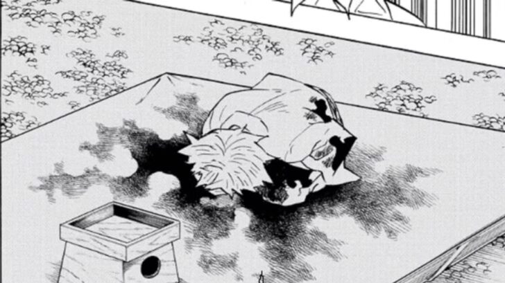 Every Hashira Death in Demon Slayer, Ranked Tragic to Heartbreaking