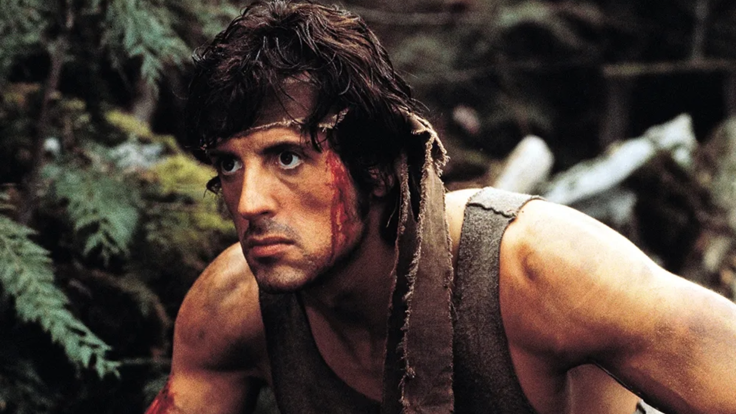 Did Noah Centineo Leave the Recruit for Rambo Movie?