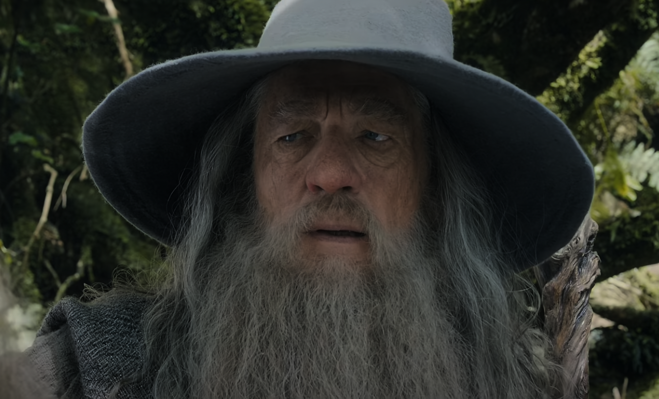 The Harry Potter Role Sir Ian McKellen Turned Down Would've Been the ...