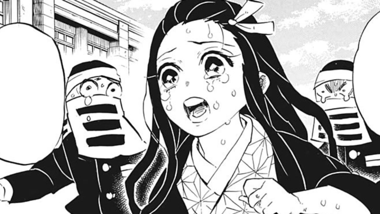 What Demon Slayer Arc Is After 'Infinity Castle'? Koyoharu Gotouge's ...