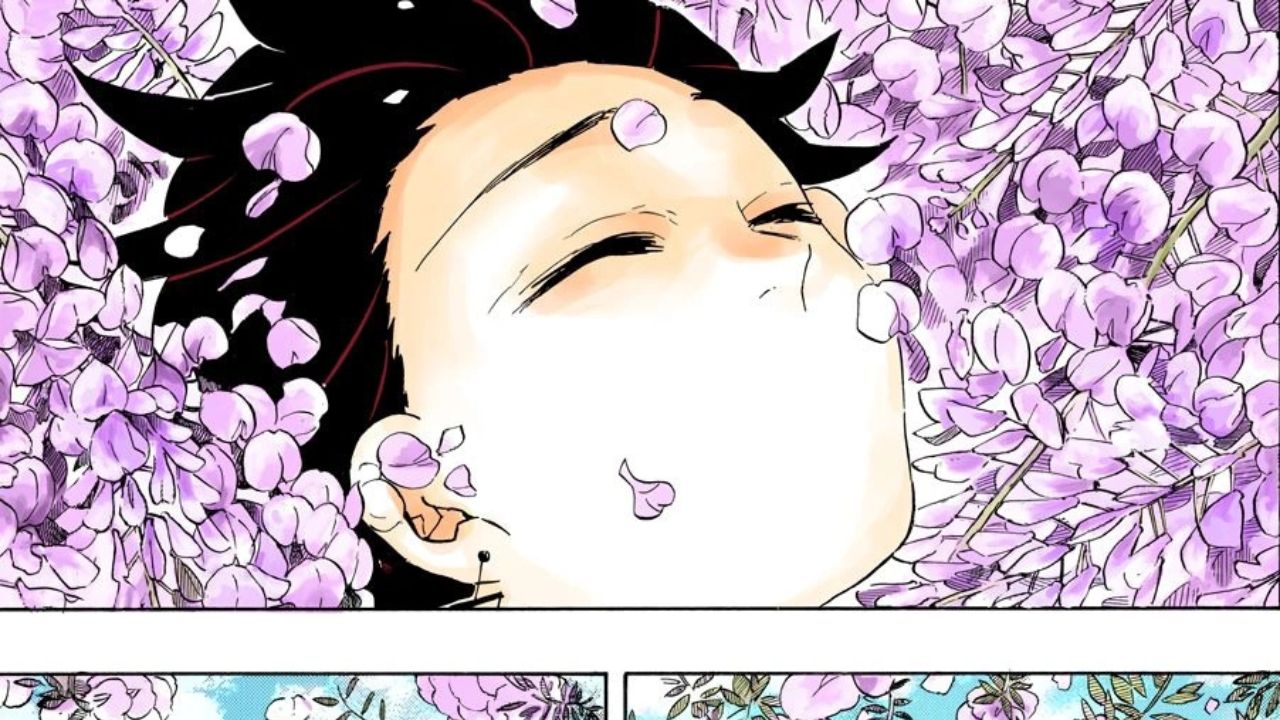 What Demon Slayer Arc Is After 'Infinity Castle'? Koyoharu Gotouge's ...