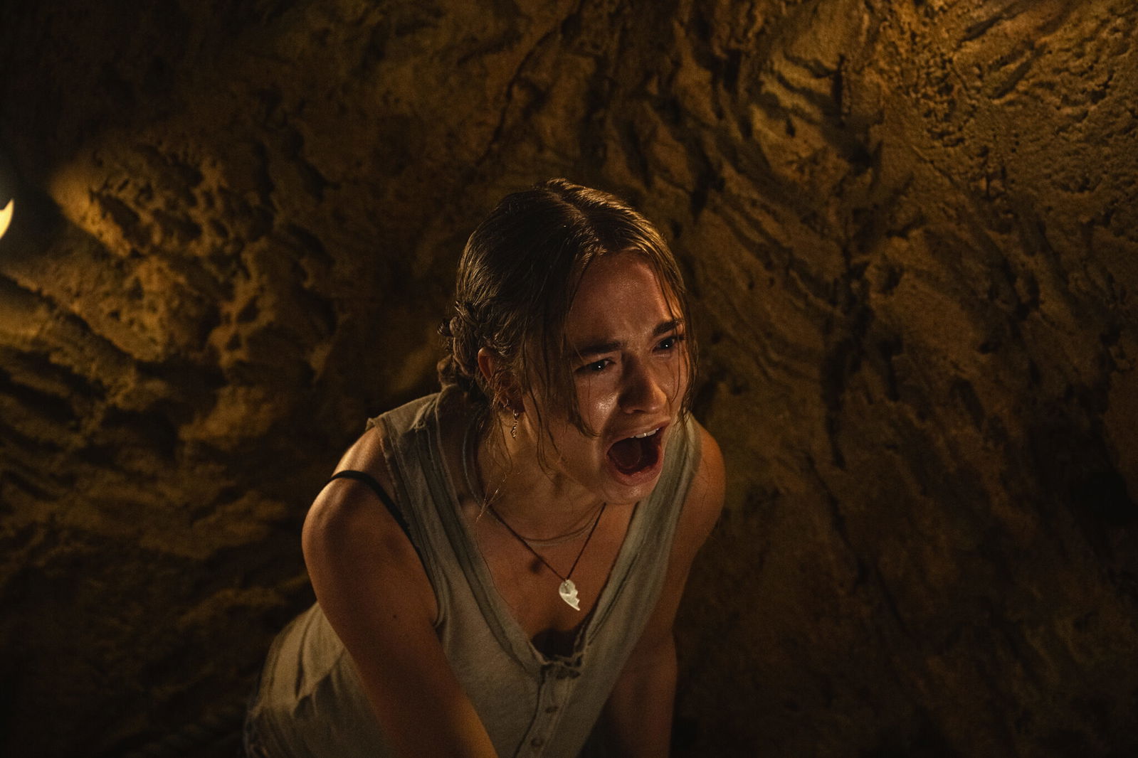 Primate (2025): Release Date, Cast, Plot, and Everything We Know