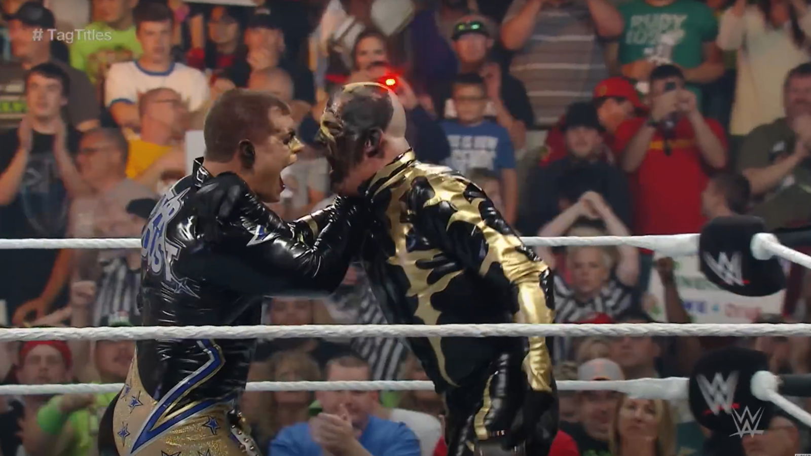 Why Did Goldust AKA Dustin Rhodes Leave WWE