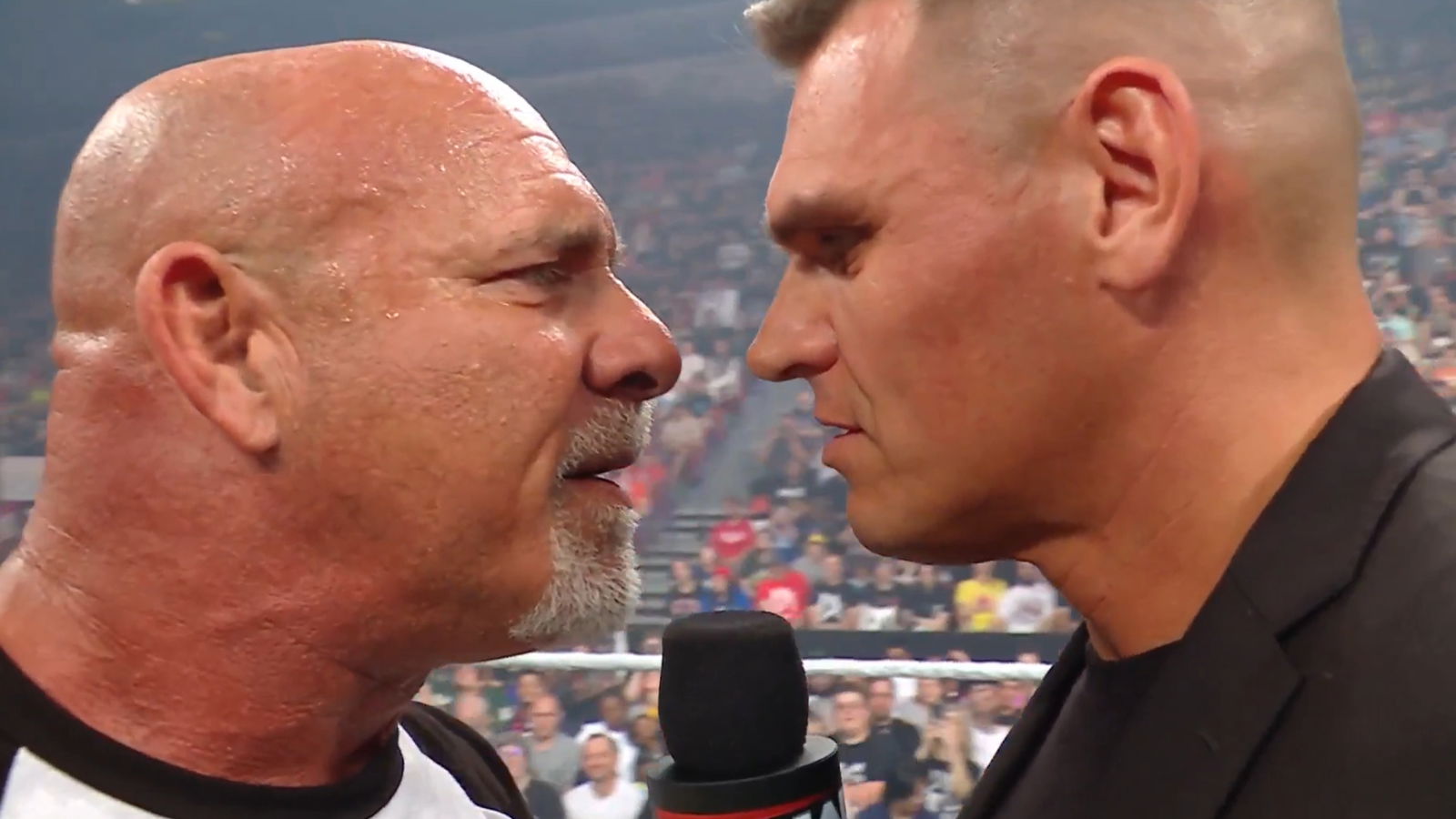 Who Is the Mystery WWE Star Teasing His Return: Fans Suspect It's Gunther