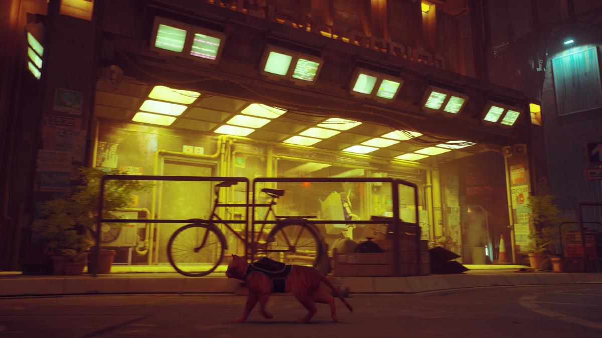 Stray Trophy Guide - How to Unlock All the Achievements?