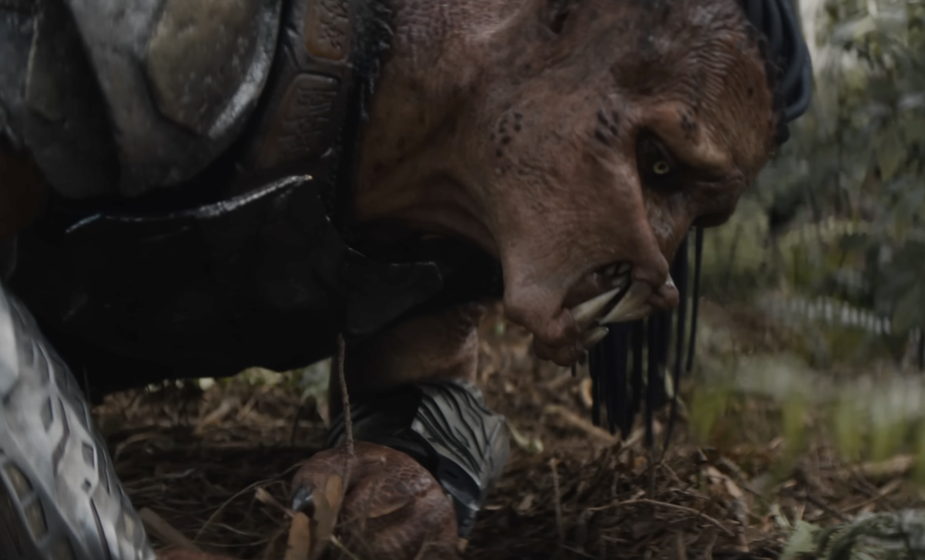 When Will Predator: Badlands Release on Streaming: How to Watch ...