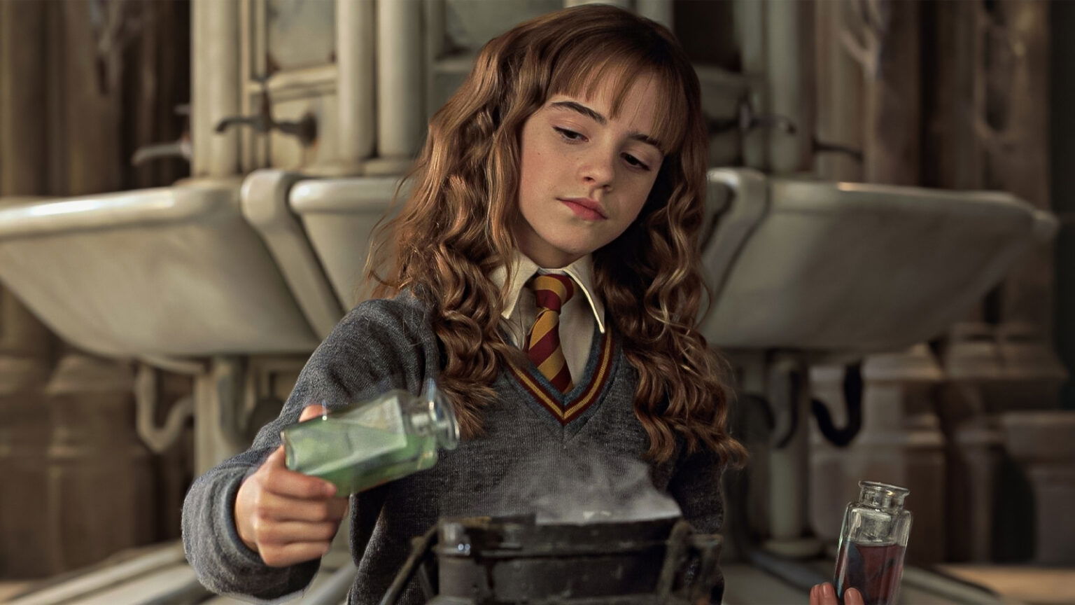 Harry Potter: Who Are the Sacred Twenty-Eight?
