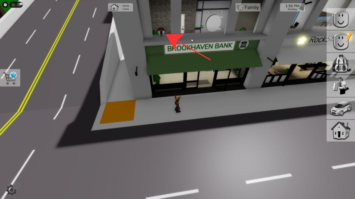 Brookhaven Turkey Hunt Guide: All Turkey Locations (Day 1 to 7)