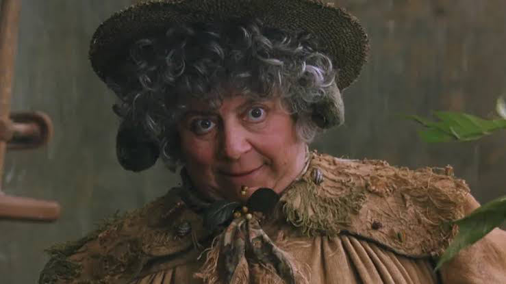 Every Hogwarts Founder in Harry Potter, Ranked Worst to Best