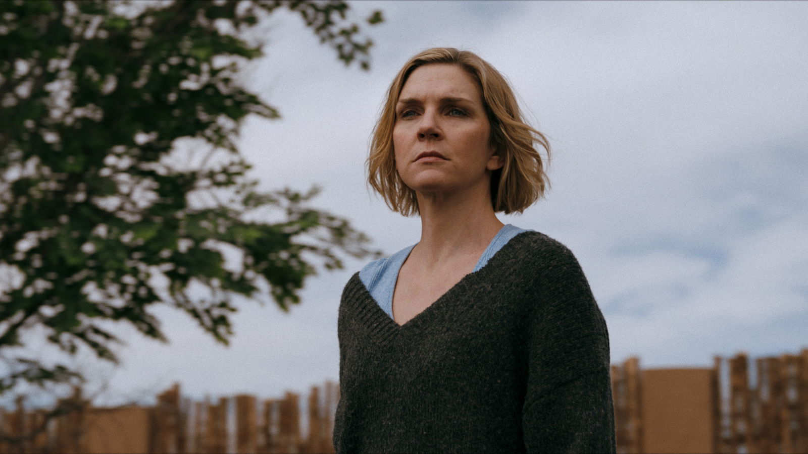 Pluribus Season 1 Episode 5 Ending Explained: What Did Carol See in the ...