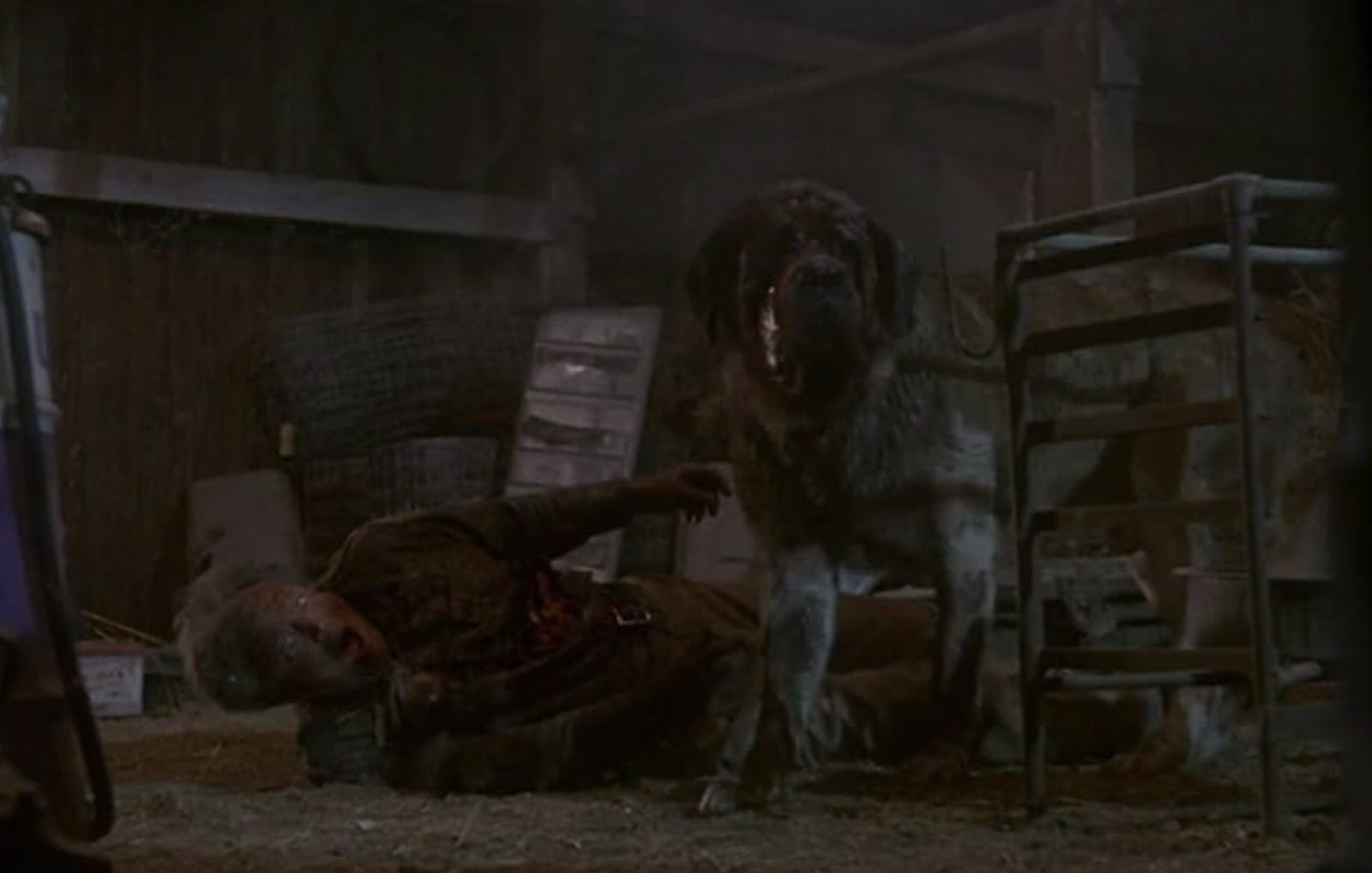 "Those dogs look horrible anyway": Stephen King Never Regretted Cujo, a ...