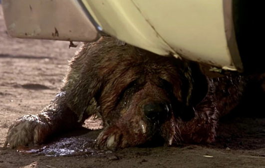 "Those dogs look horrible anyway": Stephen King Never Regretted Cujo, a ...