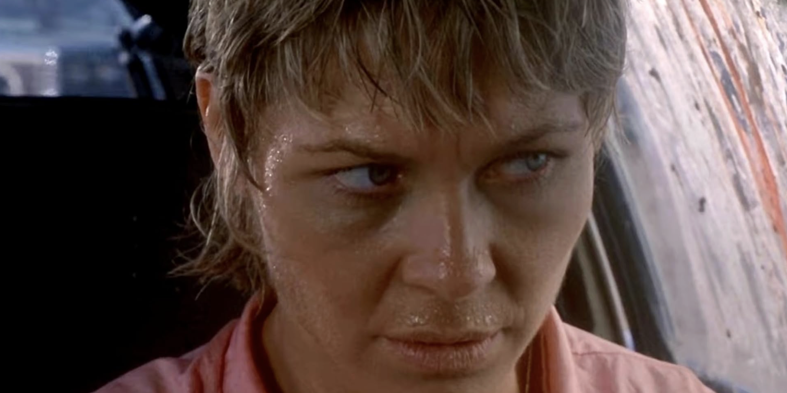 "Those dogs look horrible anyway": Stephen King Never Regretted Cujo, a ...