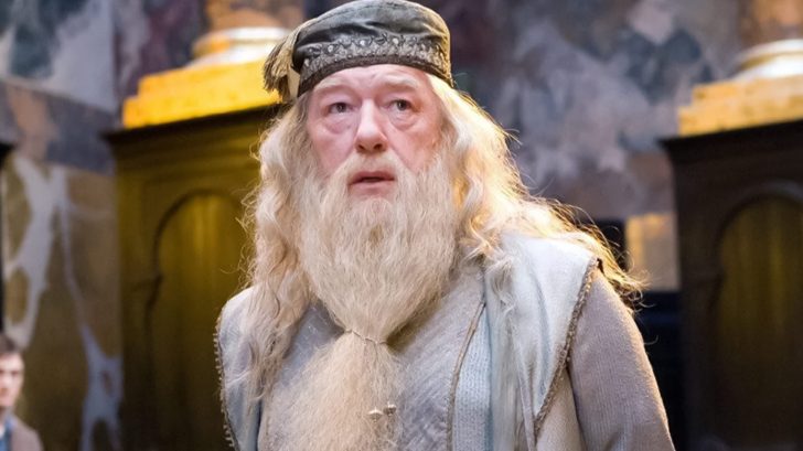 Every Harry Potter Actor We Lost over the Years
