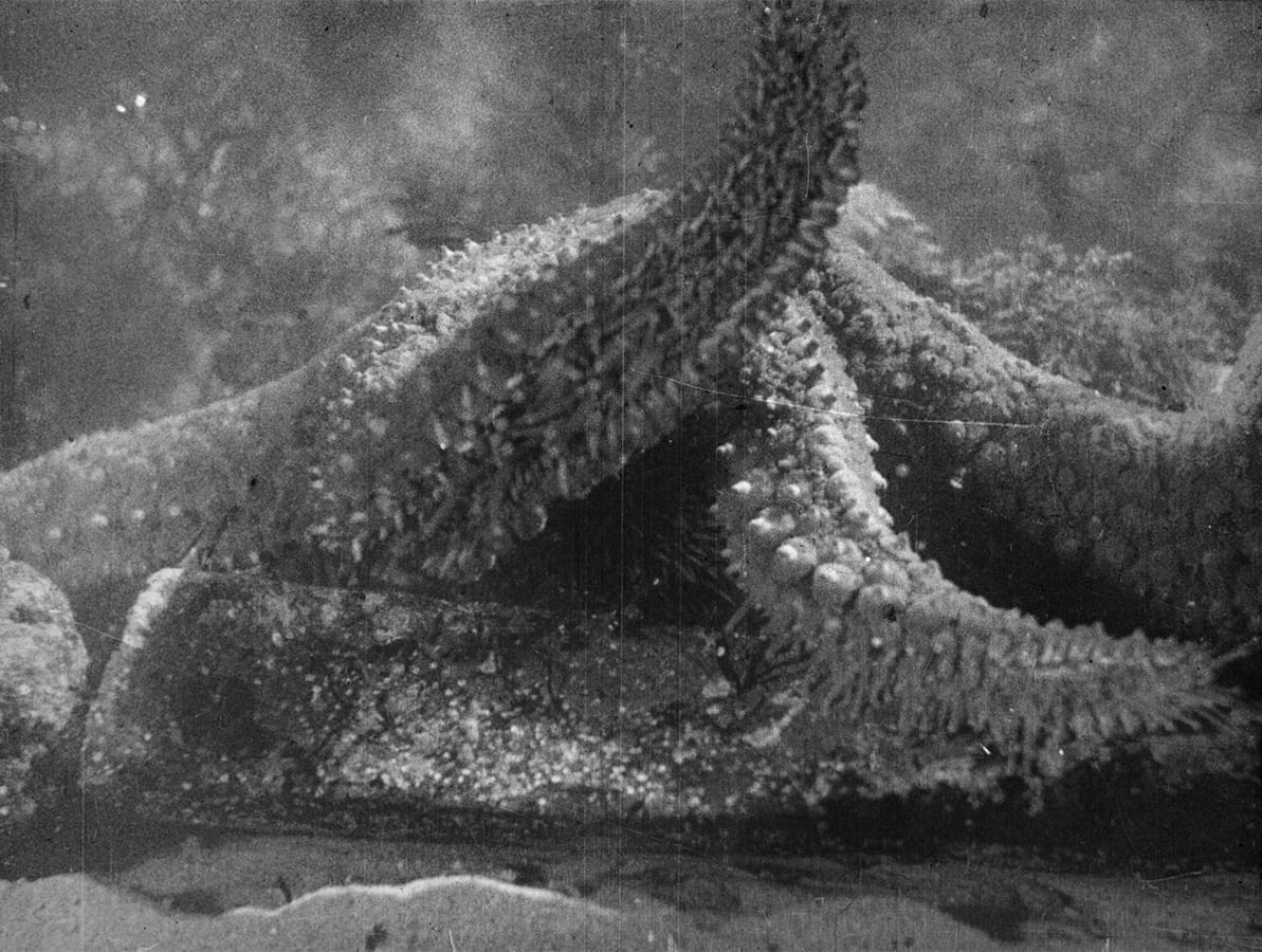 Return to Reason: Four Films by Man Ray: Criterion Collection Review