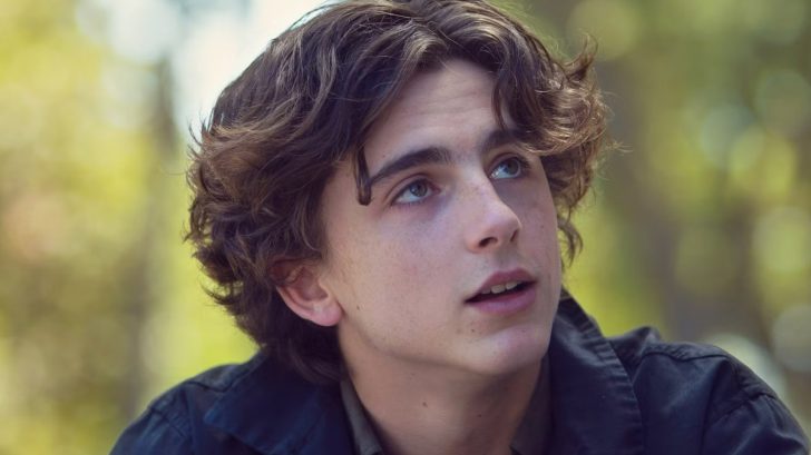 Timothée Chalamet: Rise to Hollywood Royalty, Oscars, Kylie Jenner ...