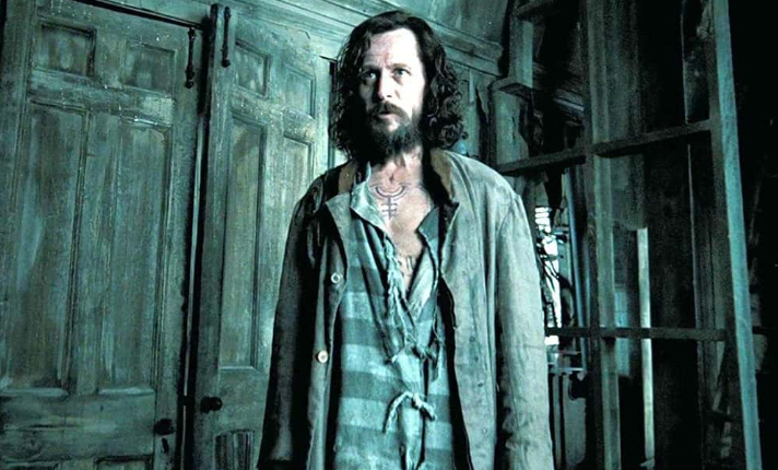"4:3 was a crime against humanity": Wizarding World Fans Are Fuming as ...