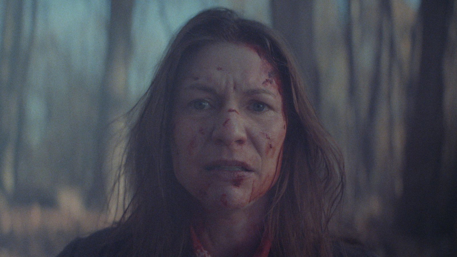 The 10 Best TV Shows of 2025