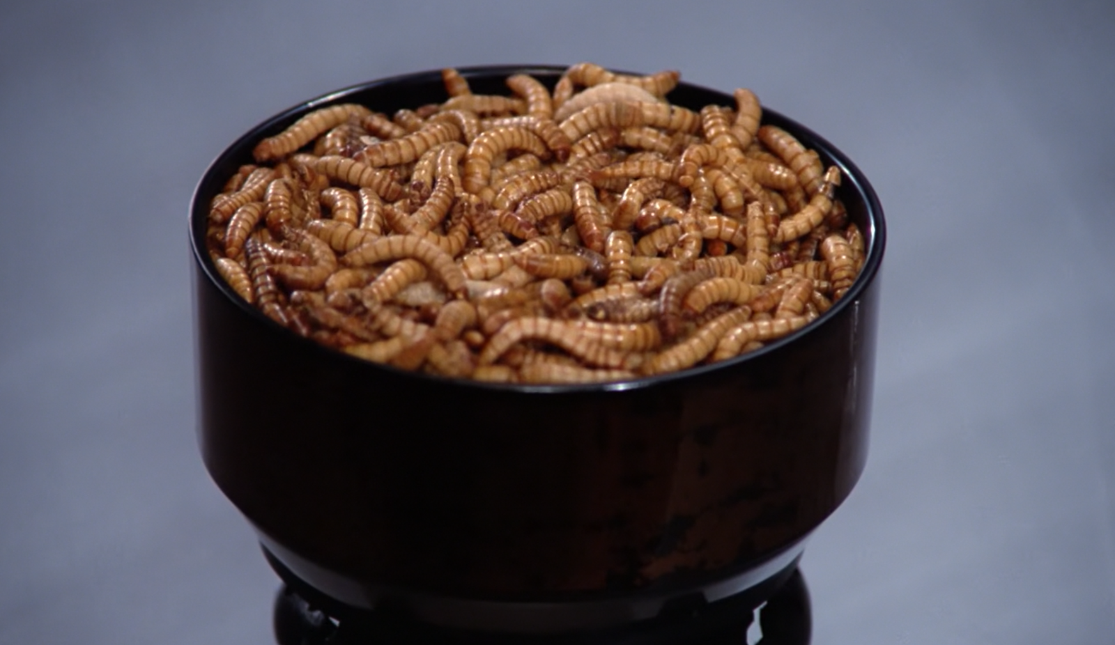 38 Years Later, One Revolutionary The Next Generation Episode Remains ...