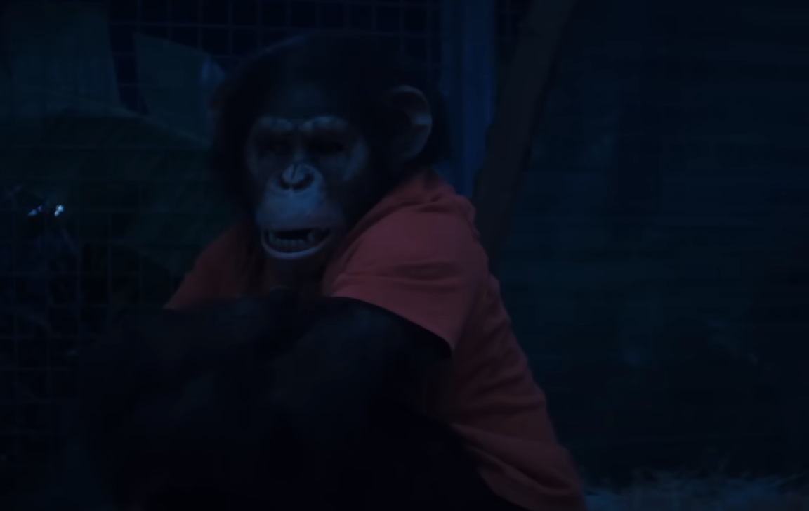 Primate (2025): Release Date, Cast, Plot, and Everything We Know