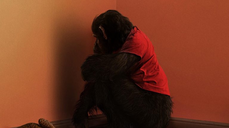 Dwayne Johnson's Family Tree: Who Is His Father And Grand Father That ...