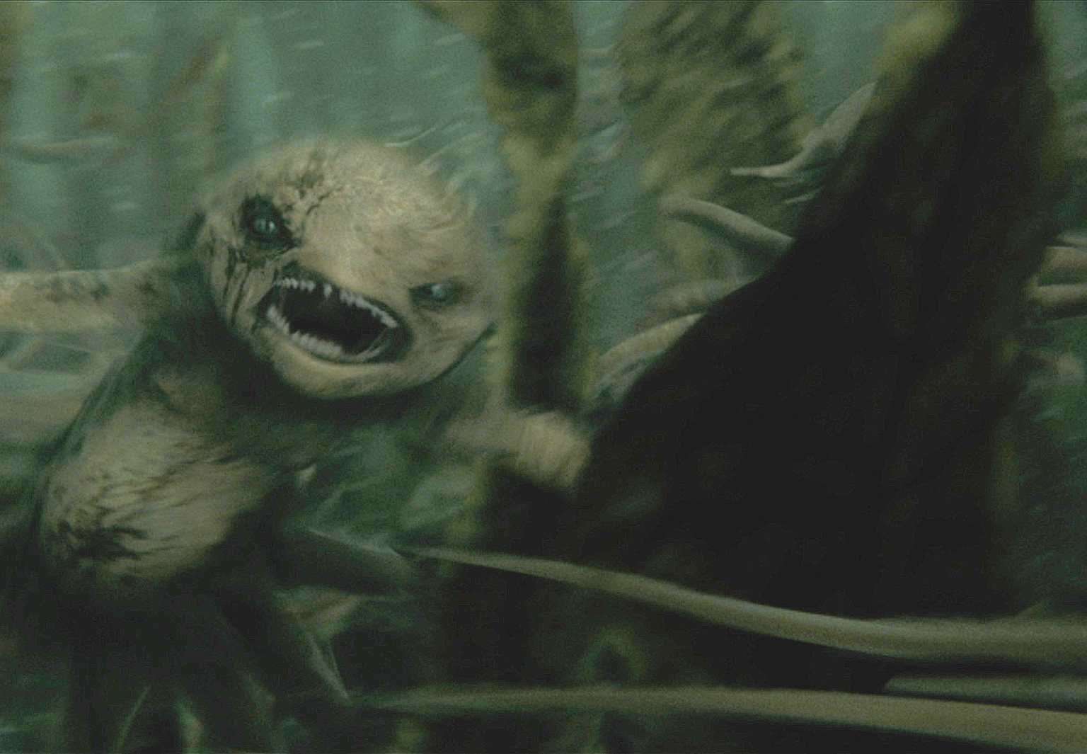 7 Deadliest Harry Potter Creatures Lurking Around Hogwarts, Ranked by ...